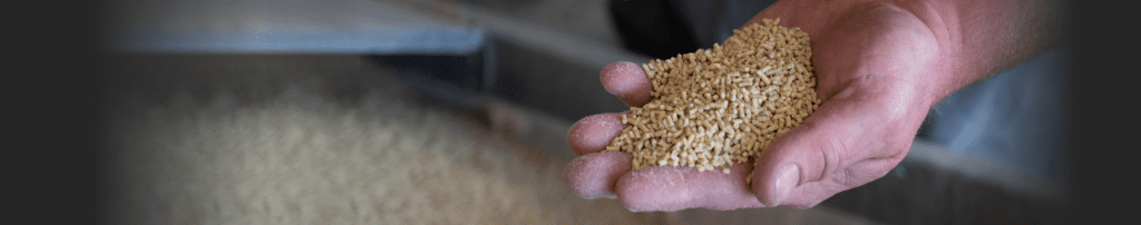 Feed Formulation and Soybean Meal (SBM) Inclusion Recommendations - The ...